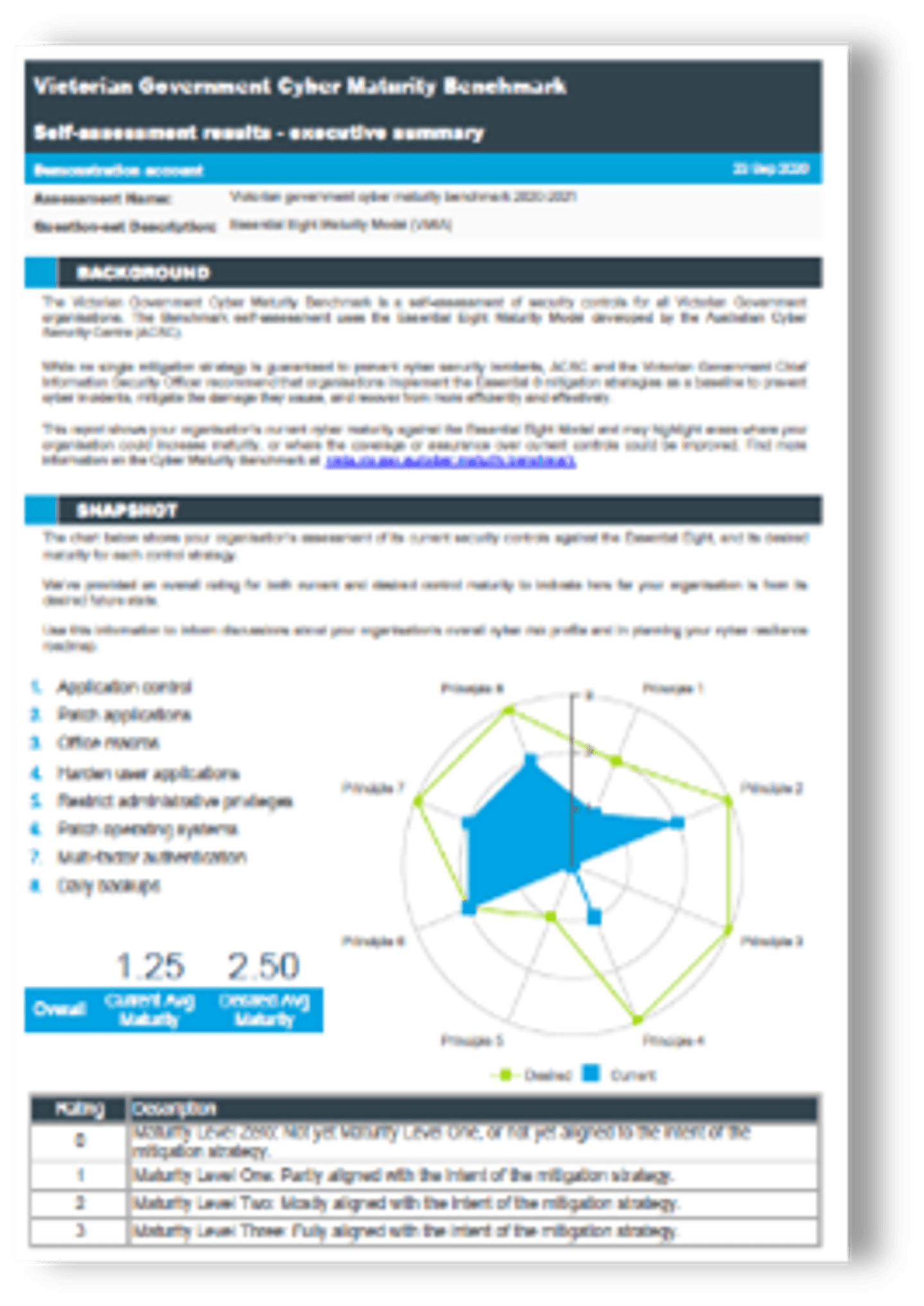 Victorian Government Cyber Maturity Benchmark - Interpreting your ...