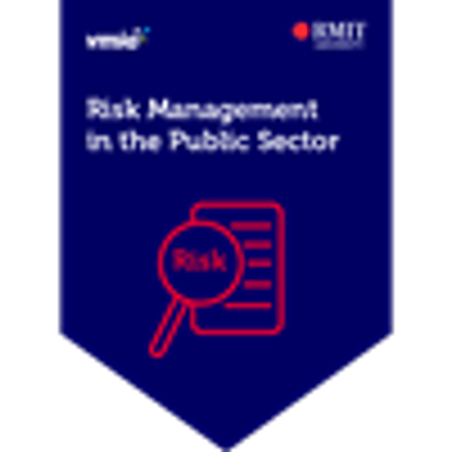 Risk management in the public sector | vmia.vic.gov.au